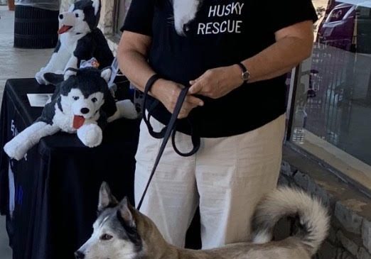 Texas Husky Rescue